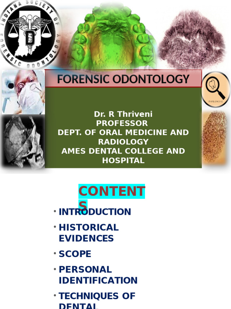 Forensic Odontology. | PDF | Tooth Enamel | Fingerprint