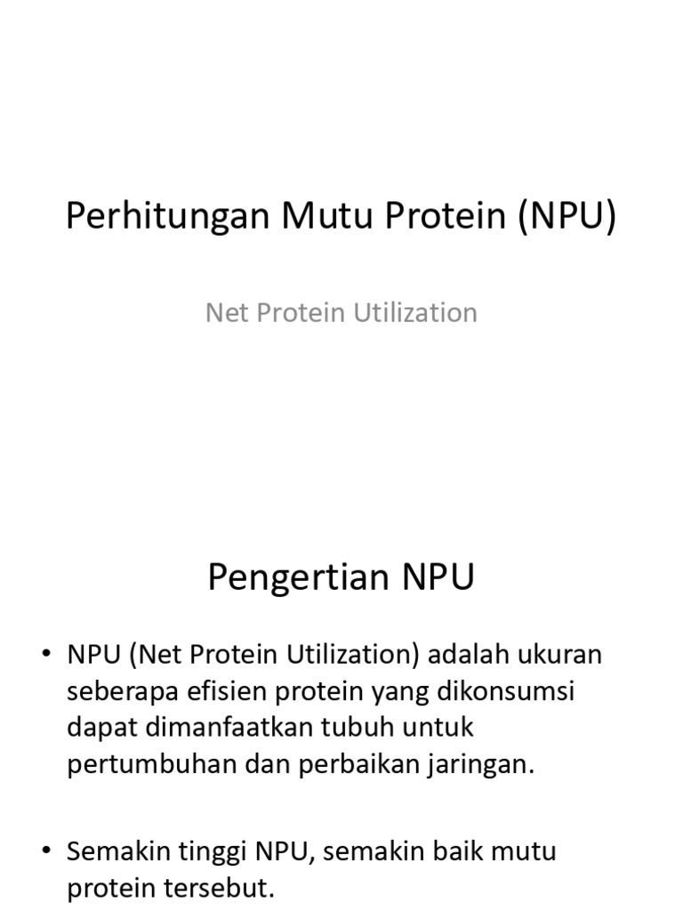 Perhitungan NPU Protein: Efisiensi Pemanfaatan | PDF