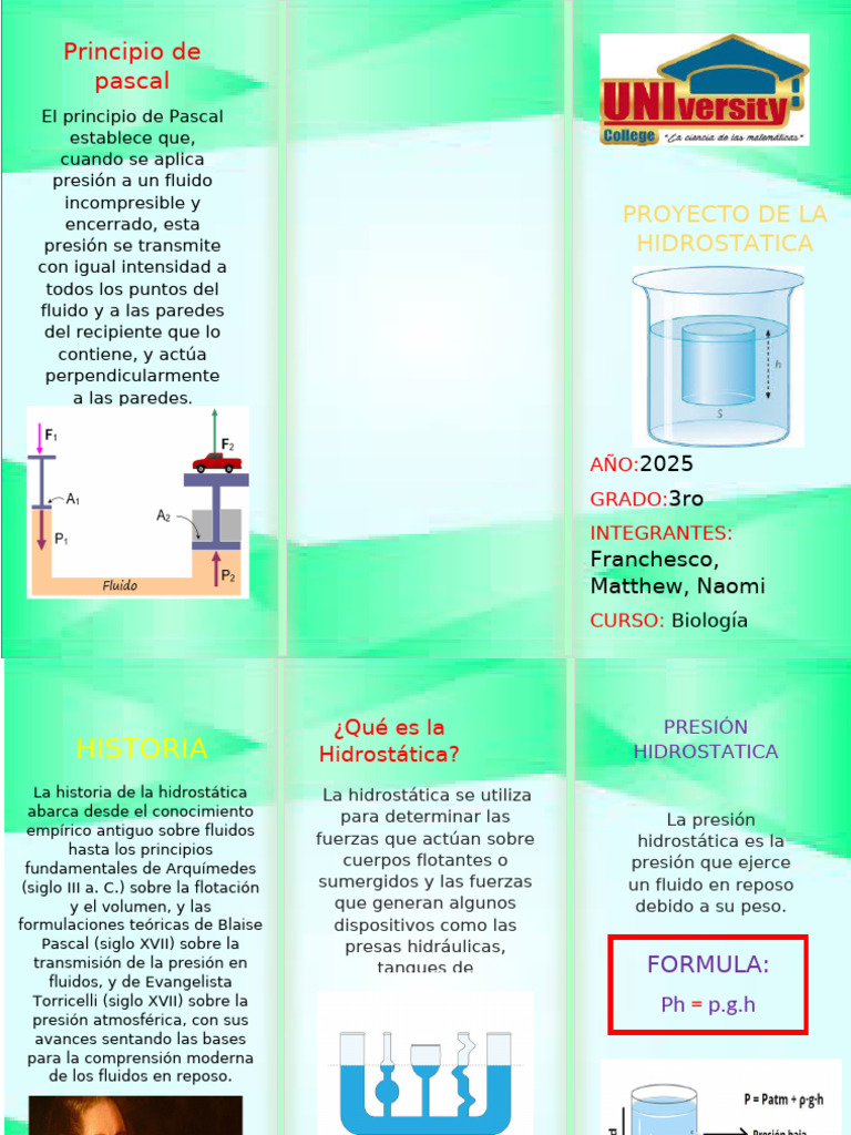 Proyecto de Hidrostática: Principio de Pascal | PDF