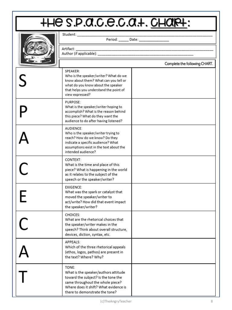 S.P.A.C.E.C.A.T. Analysis Chart | PDF