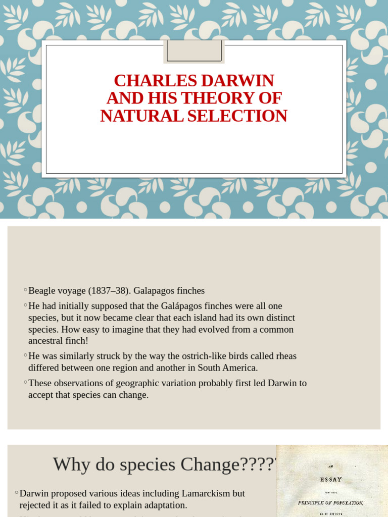 Charles Darwin and His Theory of Natural Selection | PDF | Natural ...