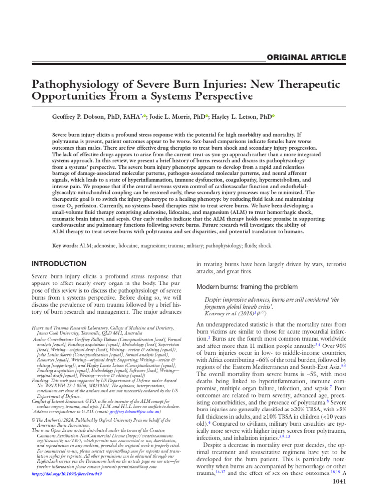 Pathophysiology of Severe Burn Injuries - New Therapeutic Opportunities ...