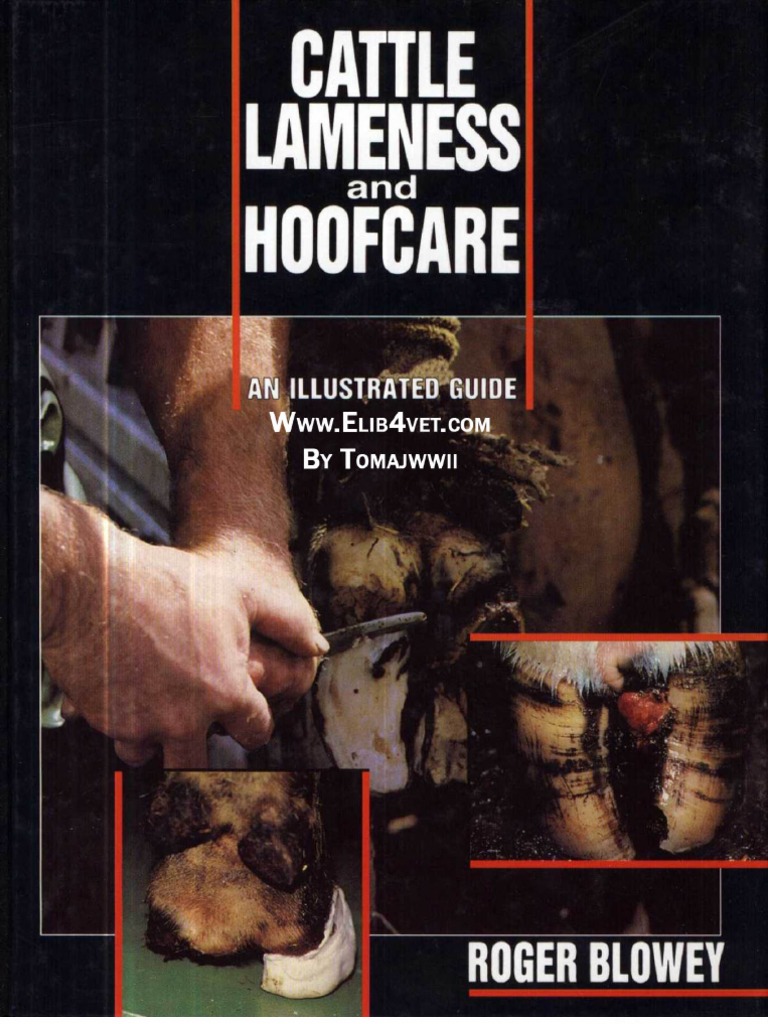 Cattle Lameness and Hoofcare - An Illustrated Guide LQ | PDF