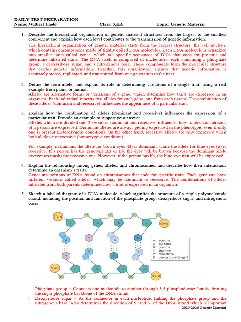 Understanding Genetic Material Hierarchy | PDF | Rna | Dna Replication