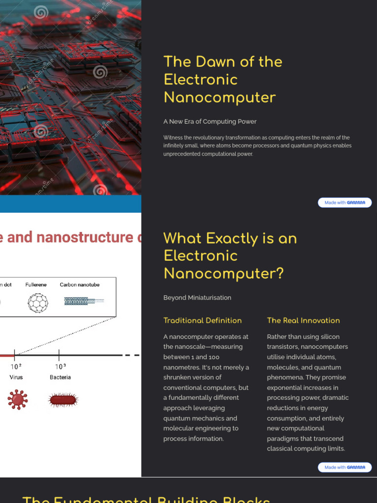 The Dawn of The Electronic Nanocomputer | PDF