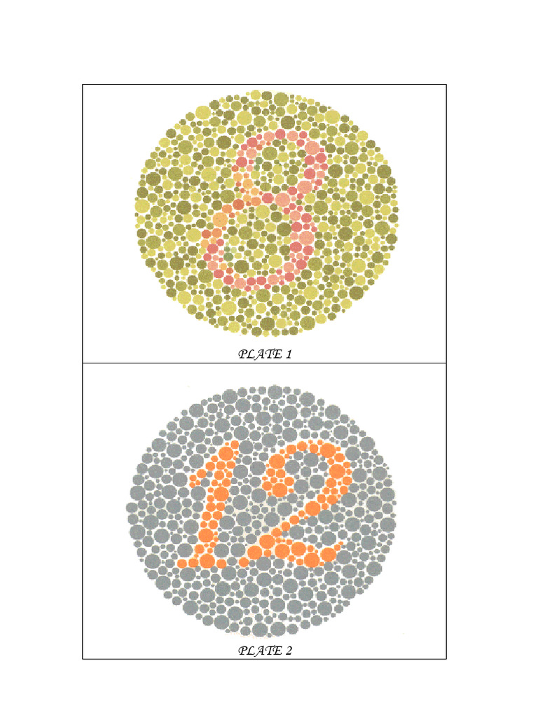 Color Vision Test Plates Explained | PDF
