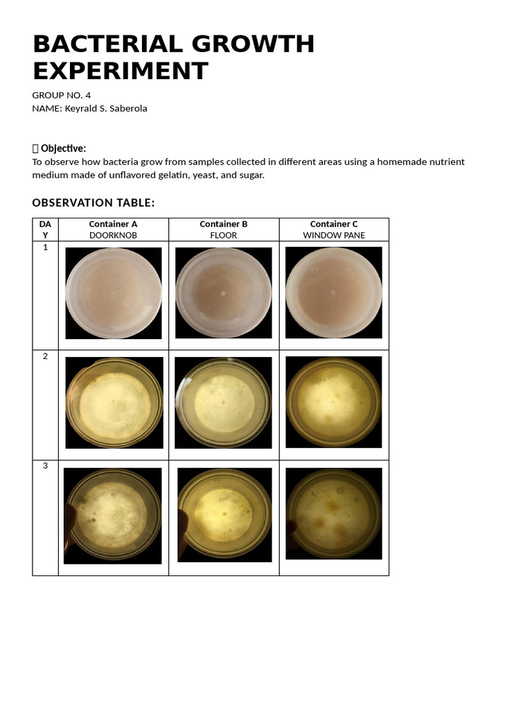 Bacterial-Growth-Experiment by Keyrald Saberola | PDF | Bacteria ...