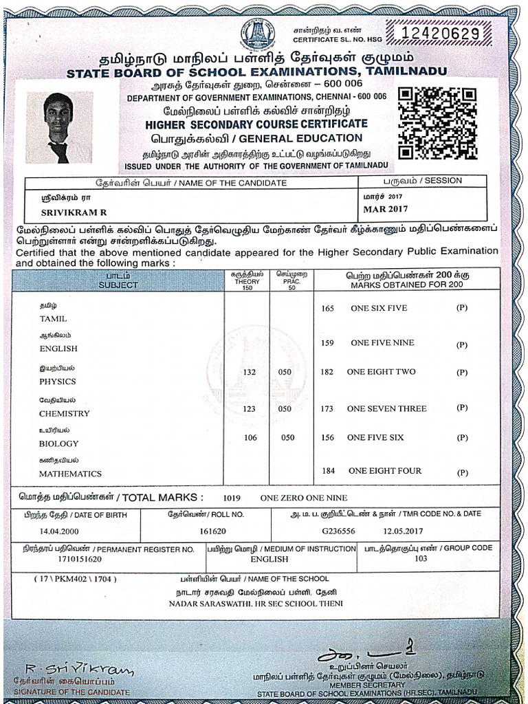 12 TH Mark Sheet | PDF
