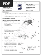 Grade 7 History Exam: June 2021 | PDF | Slavery
