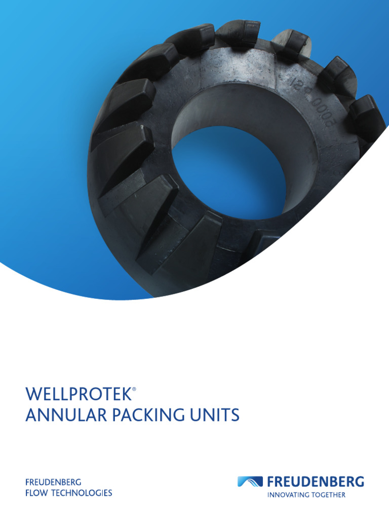 FOGT FFL WellProtek Annular Packing Units Brochure RD2!11!17-23 | PDF ...