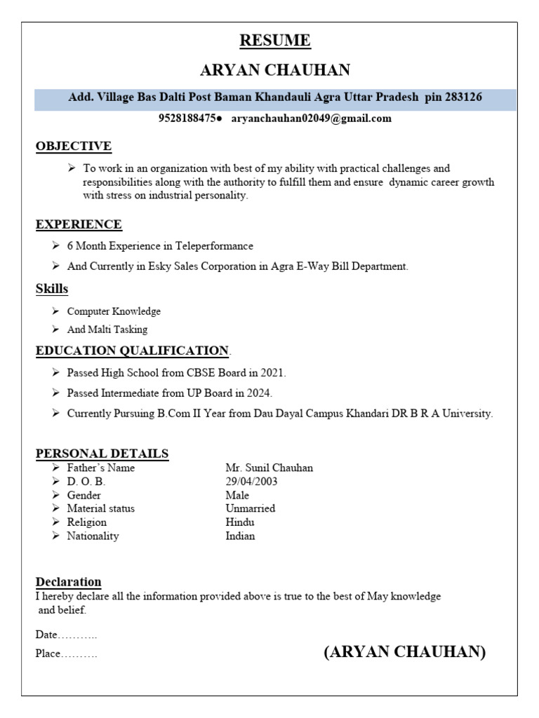 Aryan Chauhan Resume | PDF