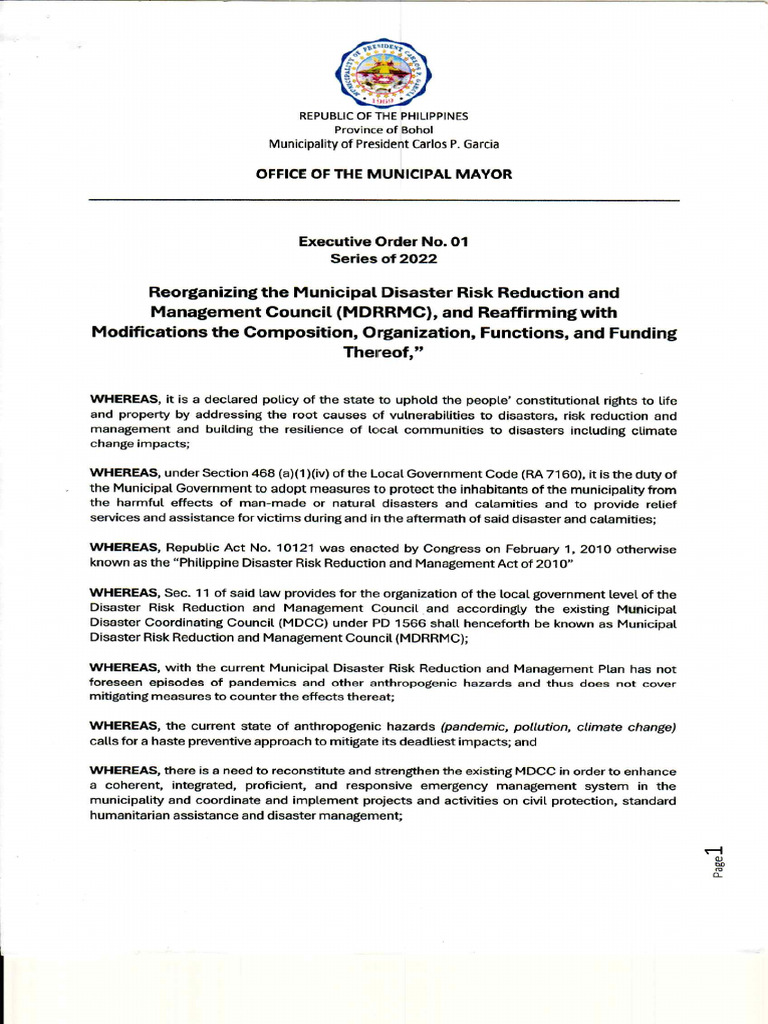 1.1 Establishment of LDRRMC | PDF