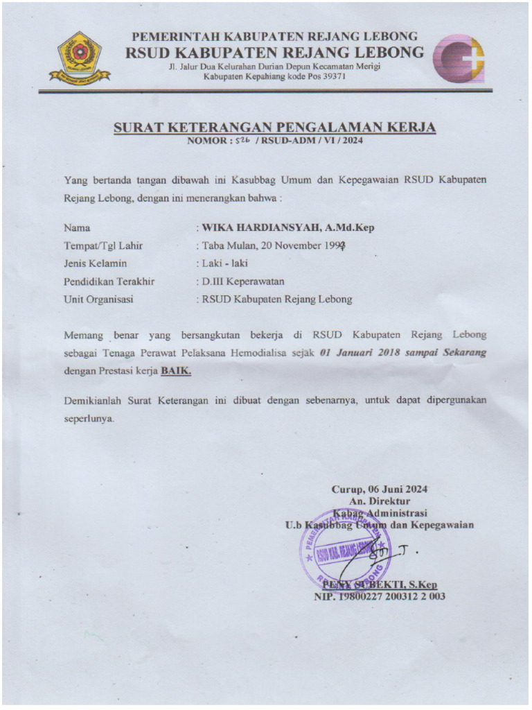 Pengalaman Kerja | PDF