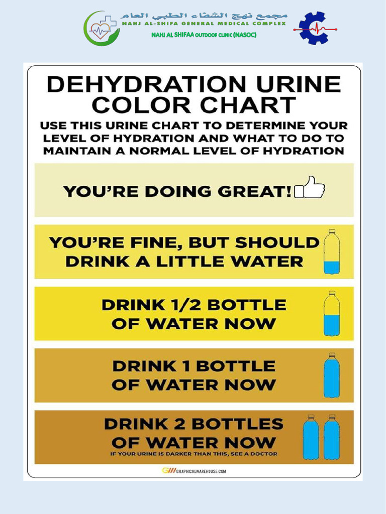 Urine Color Dehydration 2 | PDF