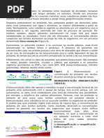 Bioacumulação e Biomagnificação: Conceitos e Exemplos | PDF | DDT ...