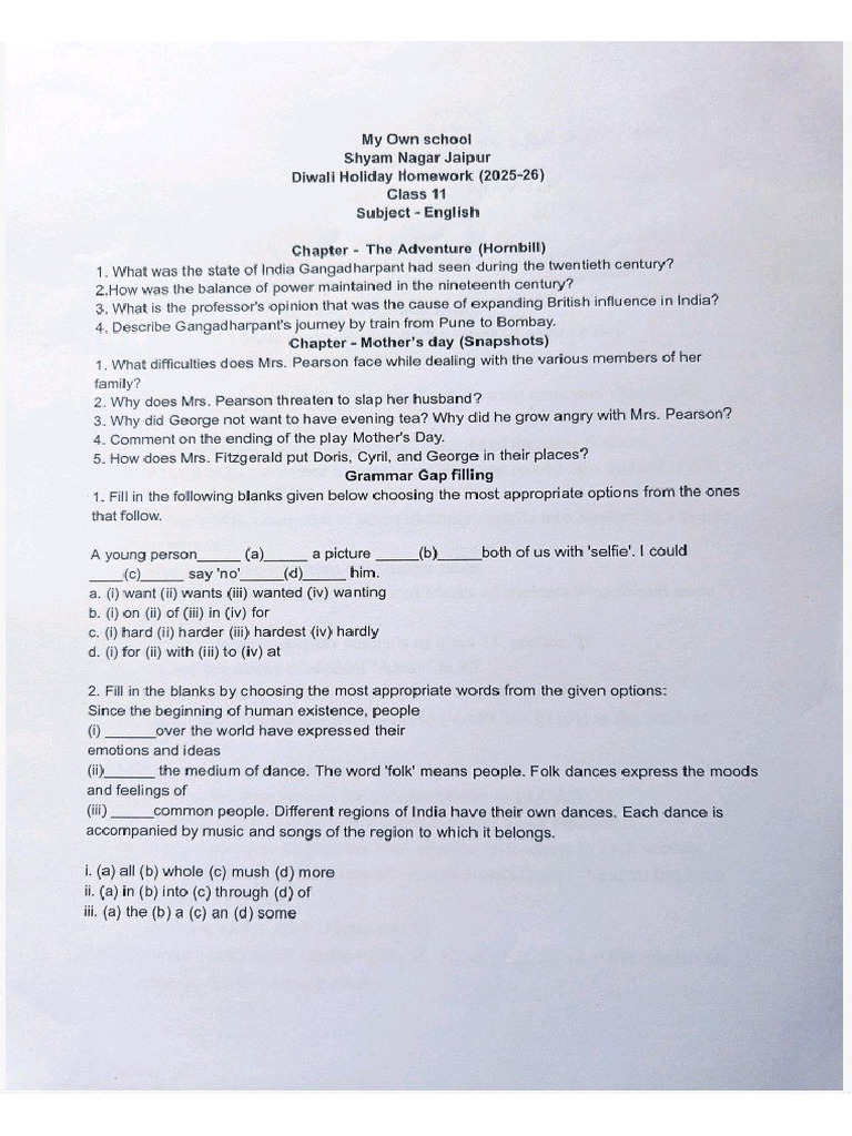 Class 11th Diwali Holiday Homework | PDF