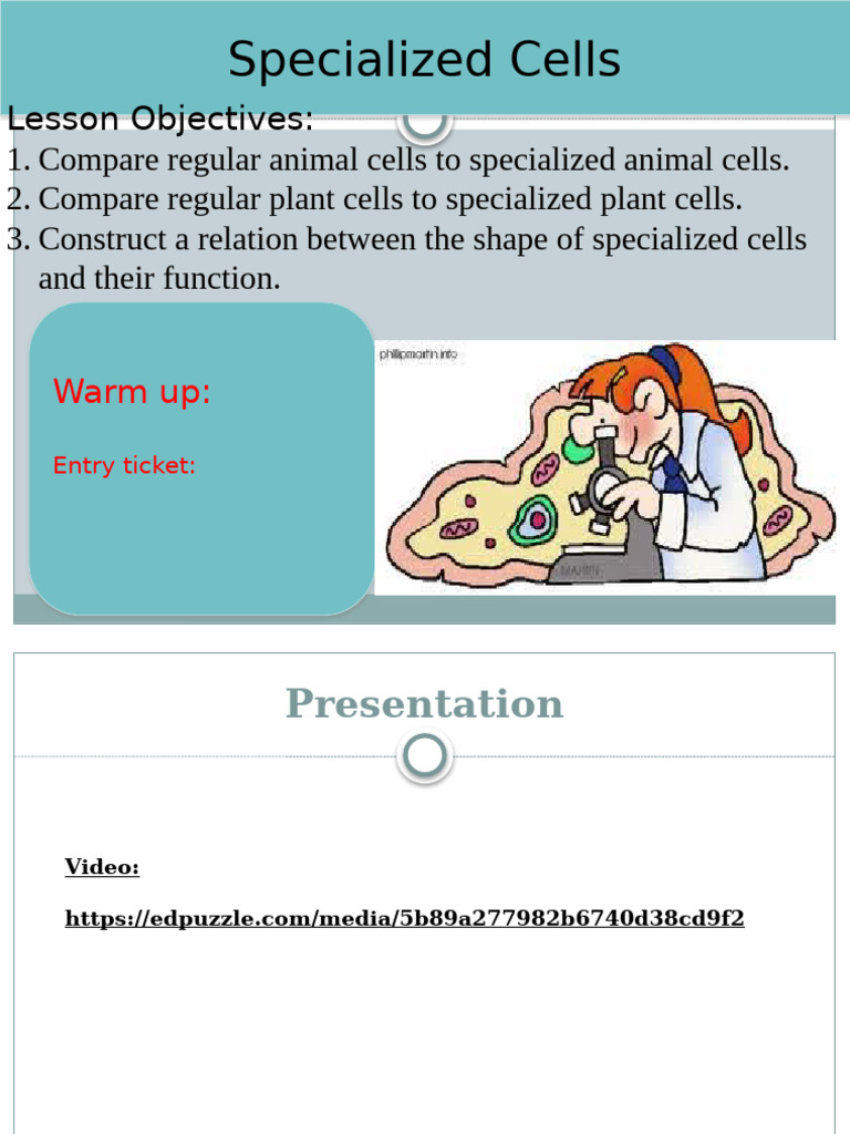 Specialised Cells Presentation | PDF | Cell (Biology) | Plants