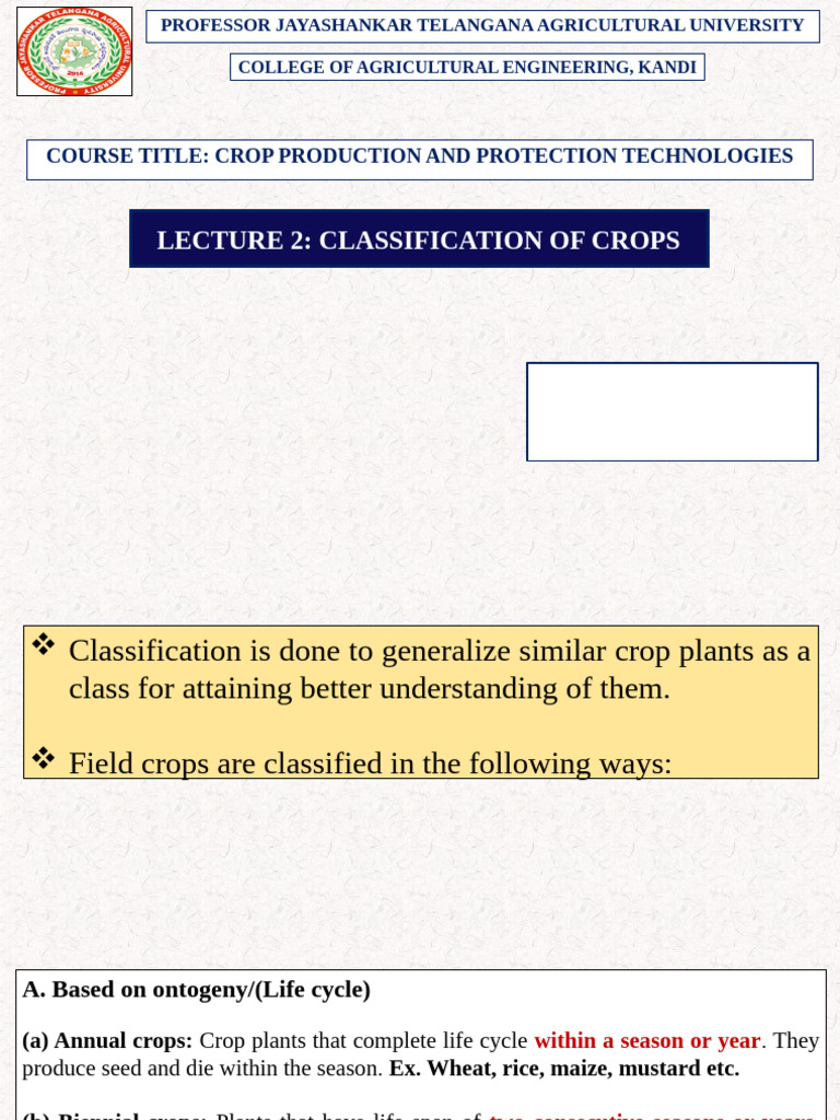 Crop Classification Techniques Explained | PDF | Crops | Cereals