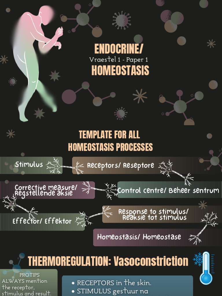 Homeostasis Processes and Regulation Guide | PDF | Homeostasis | Glucose