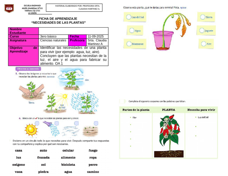 FICHA de APRENDIZAJE11!09!2025 Necesidades de Las Plantas | PDF