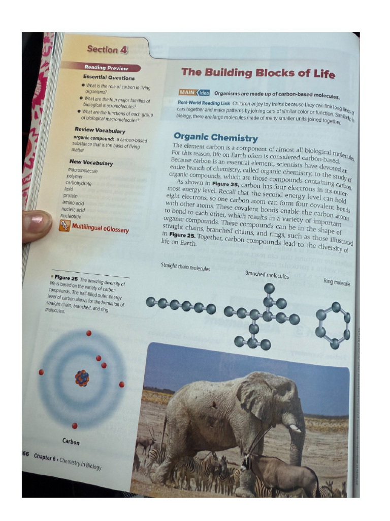Untitled Design | PDF
