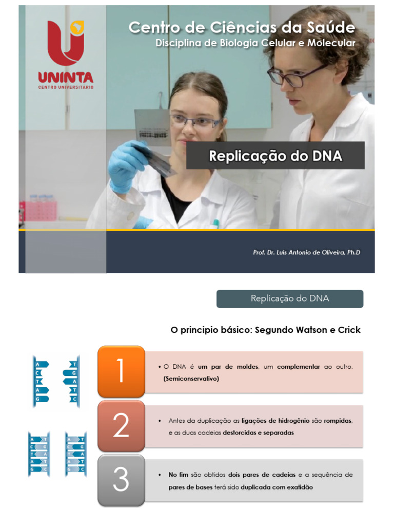 Replicação do DNA: Processos e Enzimas | PDF | Replicação de DNA ...