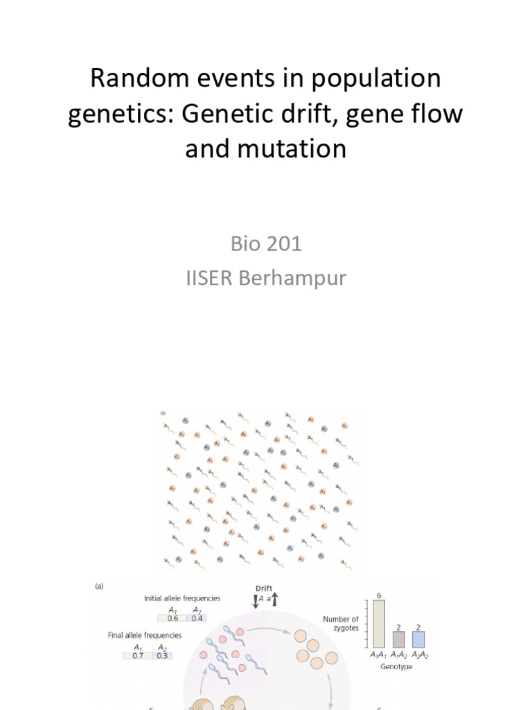 Genetic Drift and Population Dynamics | PDF