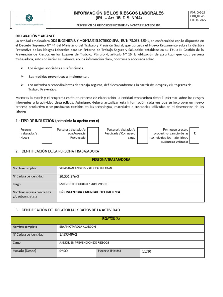 Irl D&S | PDF | Ingeniería