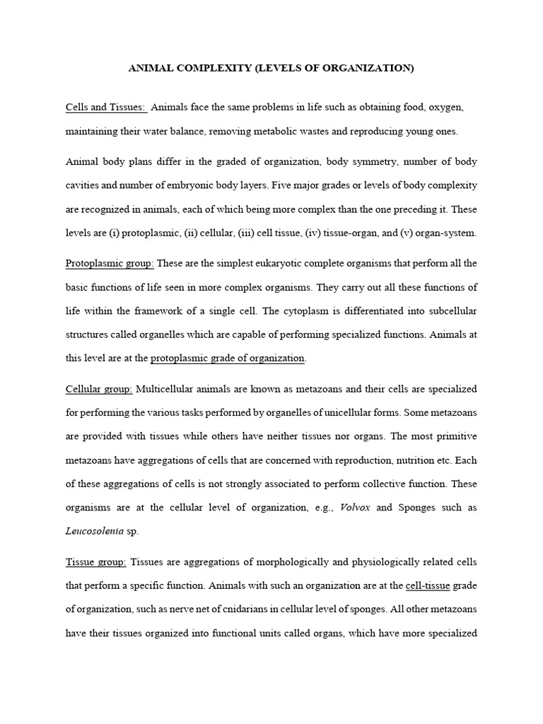 Animal Complexity (1st) | PDF