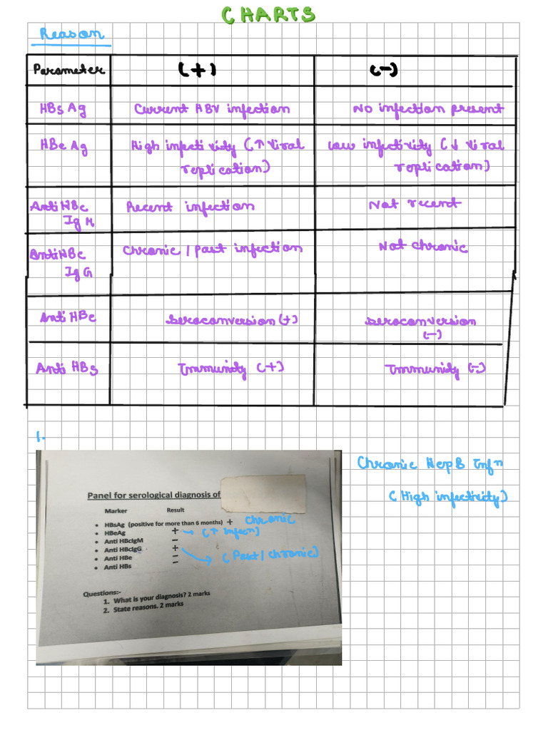 Hepatitis Charts by ARKO | PDF