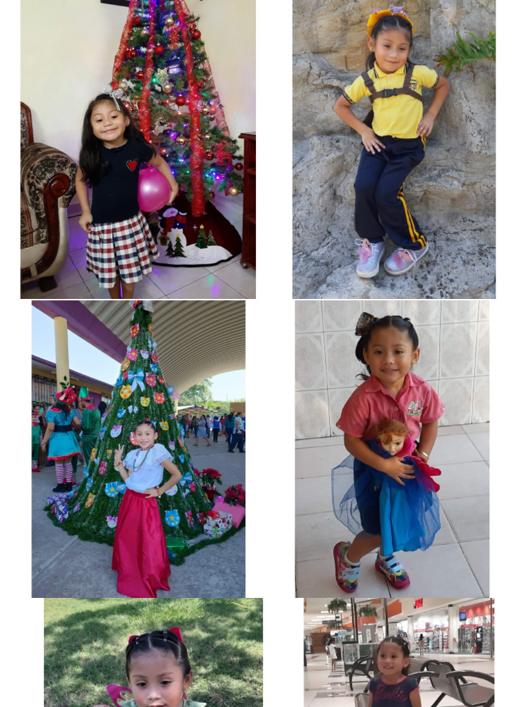 Roos Edad Media | PDF