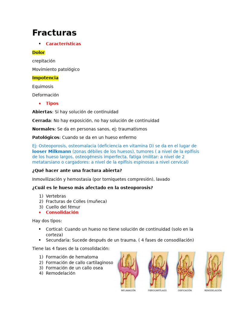 Frac Turas | PDF | Hueso | Osteoporosis