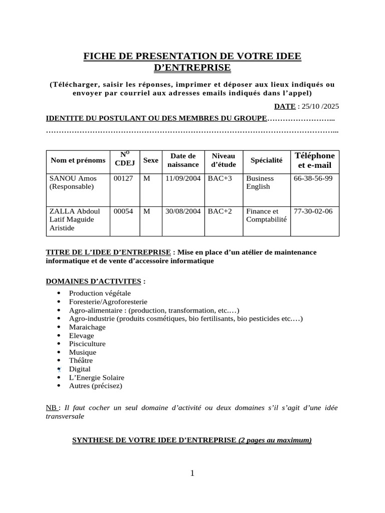 Présentation d'une idée d'entreprise innovante | PDF | Informatique ...