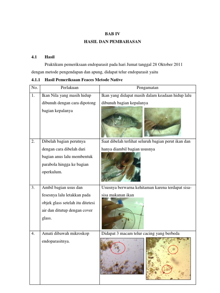 Pemeriksaan Endoparasit Ikan Nila | PDF