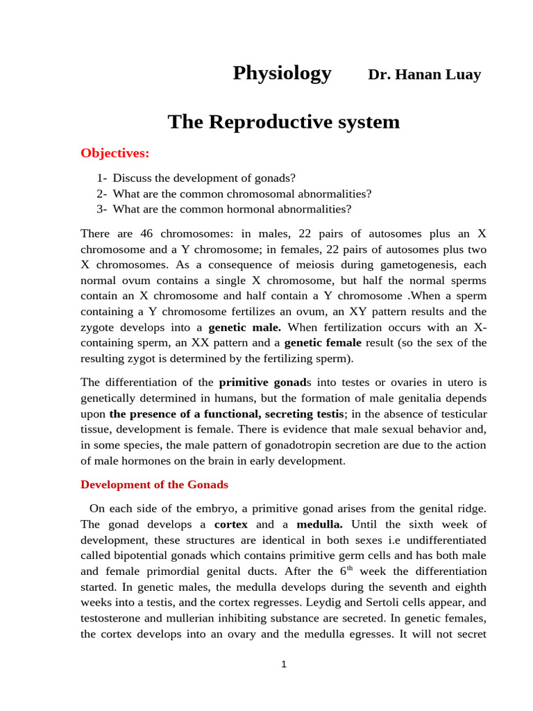 Reproductive System Physiology Overview Pdf Menstrual Cycle