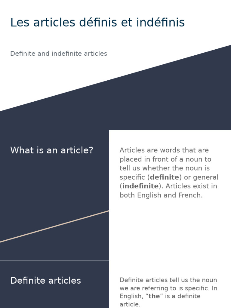 Les Articles Définis Et Indéfinis | PDF