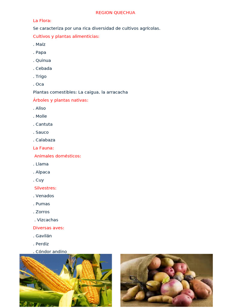 Region Quechua | PDF