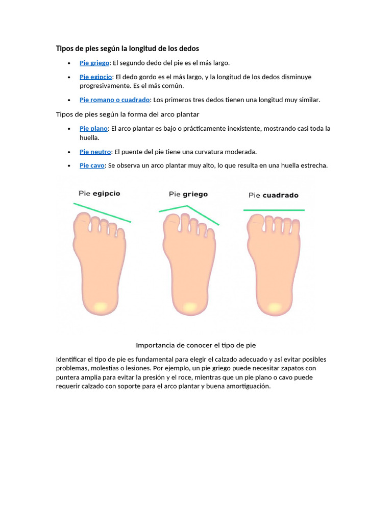 Tipos de Pies Según La Longitud de Los Dedos | PDF