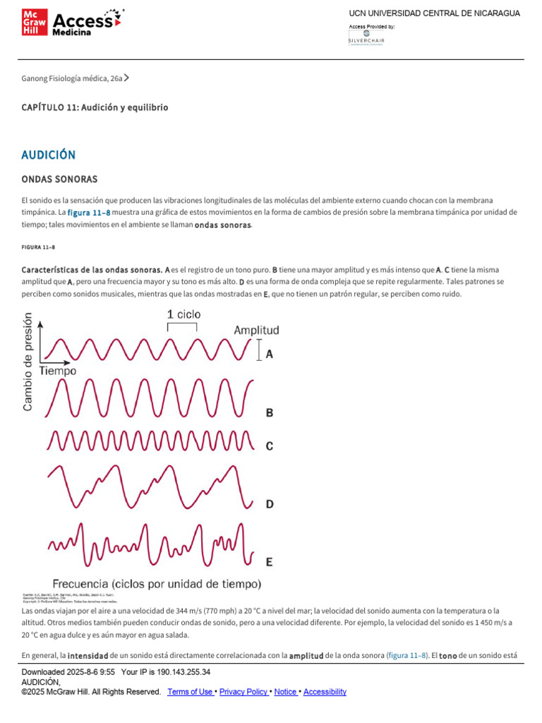 Fisiología del sonido y audición humana | PDF | Sonido | Escuchando
