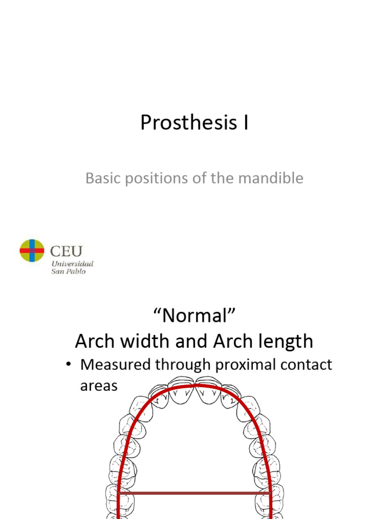 3.Basic Positions of Mandible | PDF | Primate Anatomy | Dentistry