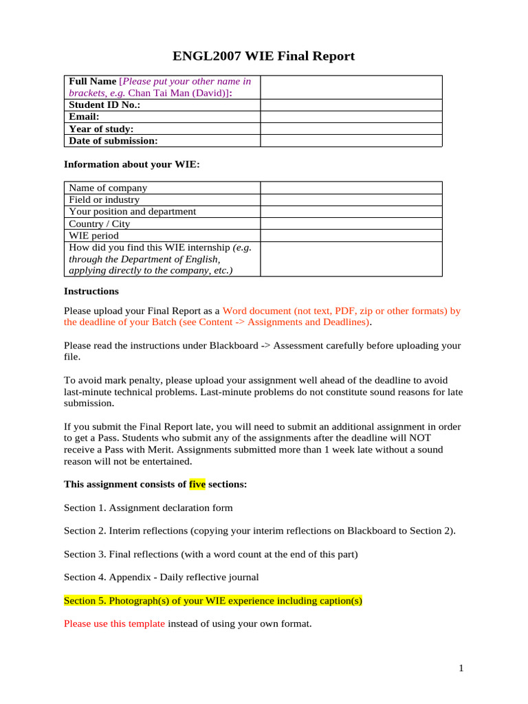 WIE Final Report Template - 2018 | PDF | Skill | Communication