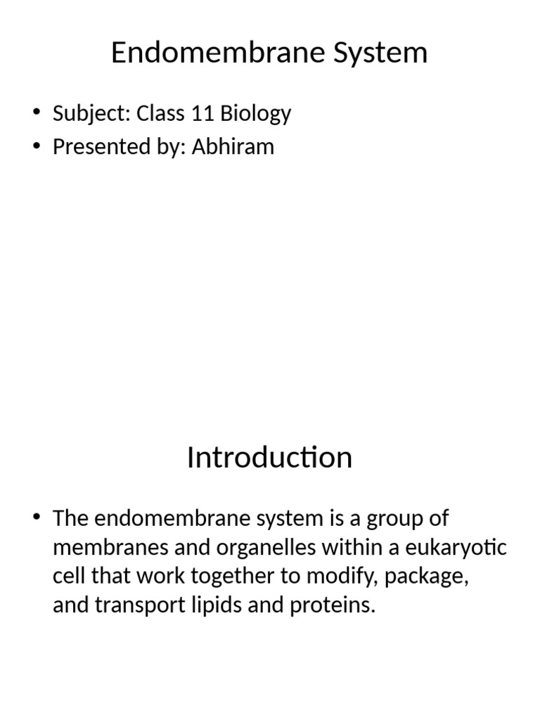 Endomembrane System | PDF