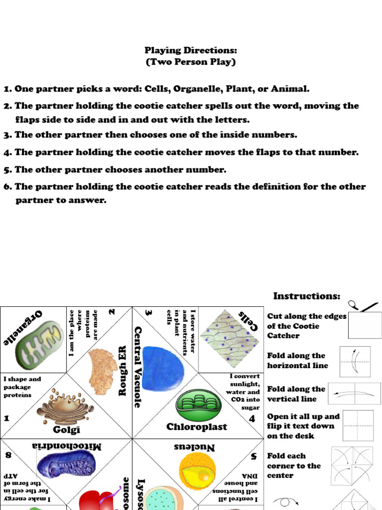 Cootie Catcher Game for Cell Biology | PDF | Cell (Biology ...