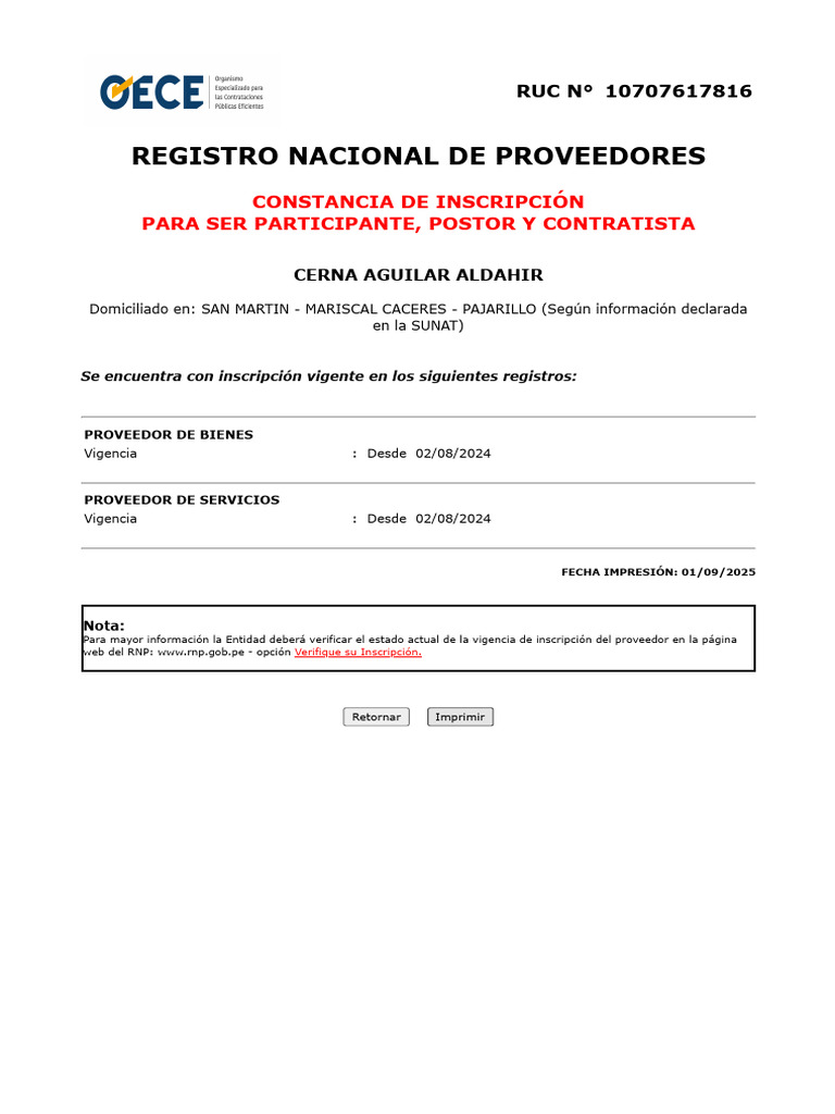 Constancia Del Rnp-Aldair 2025 | PDF