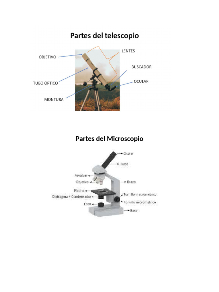 Partes Del Microscopio | PDF