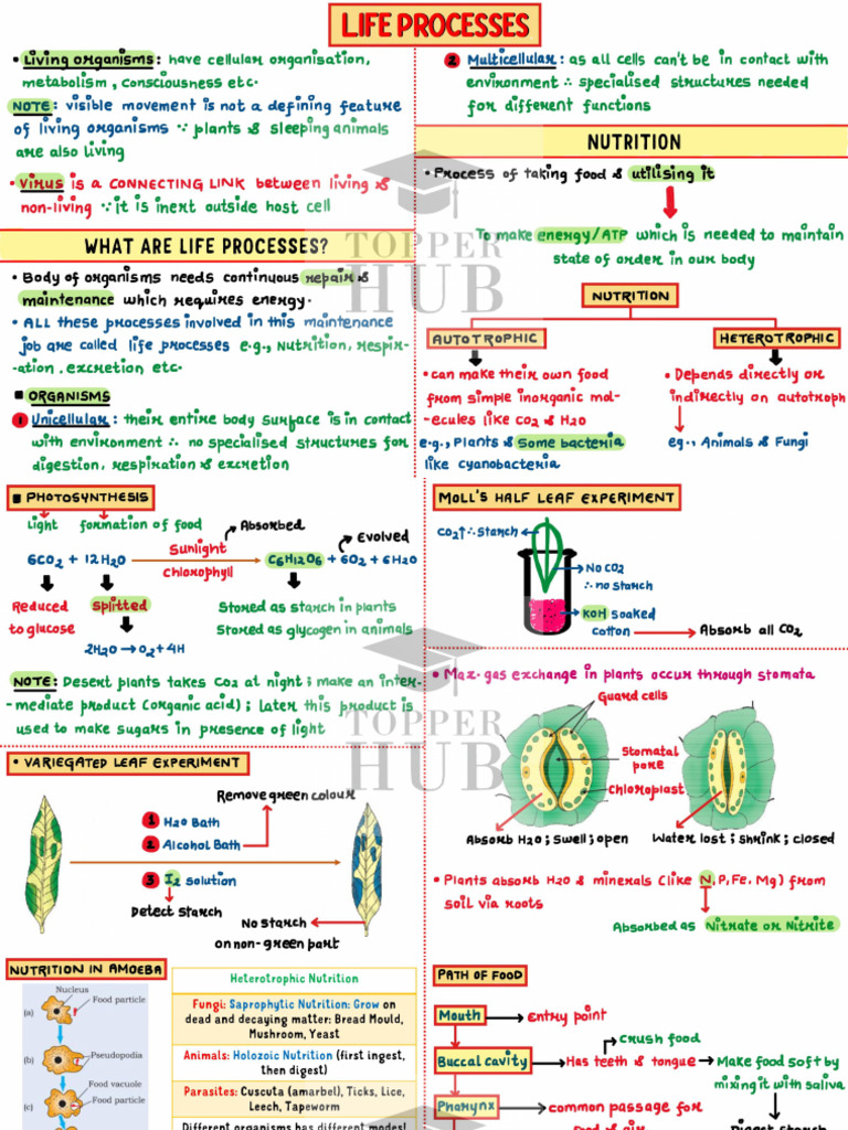 Biology Topper Hub | PDF