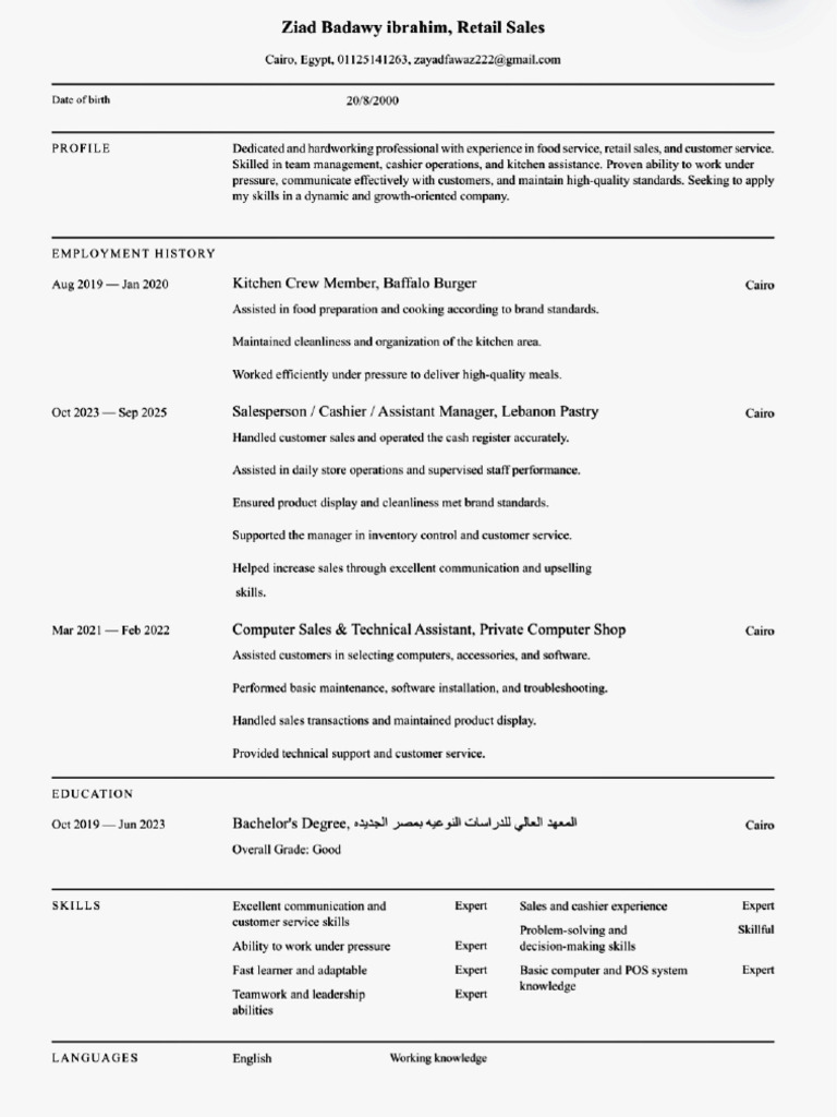 CV Ziad Badawy | PDF