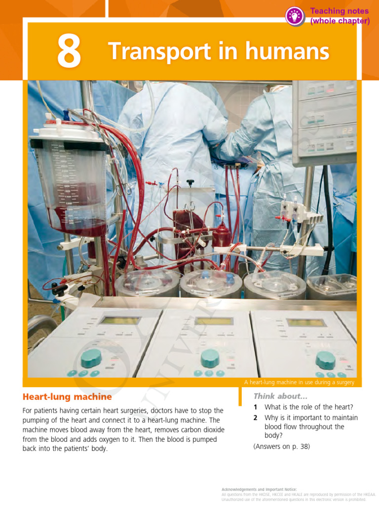 8 Transport in Humans | PDF | Artery | Vein