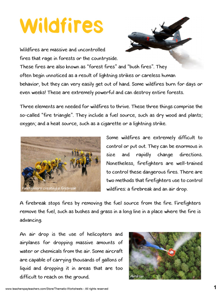 Katrina Doane - Kami Export - Wildfires - Unit | PDF | Wildfire | Fires