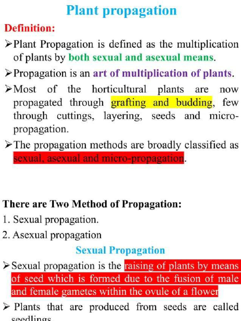 Plant Propagation Methods and Management | PDF